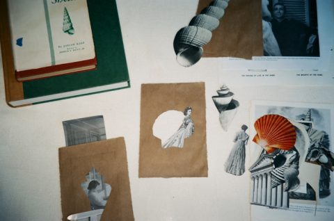 World Collage Day Events 2023 - Kolaj Institute